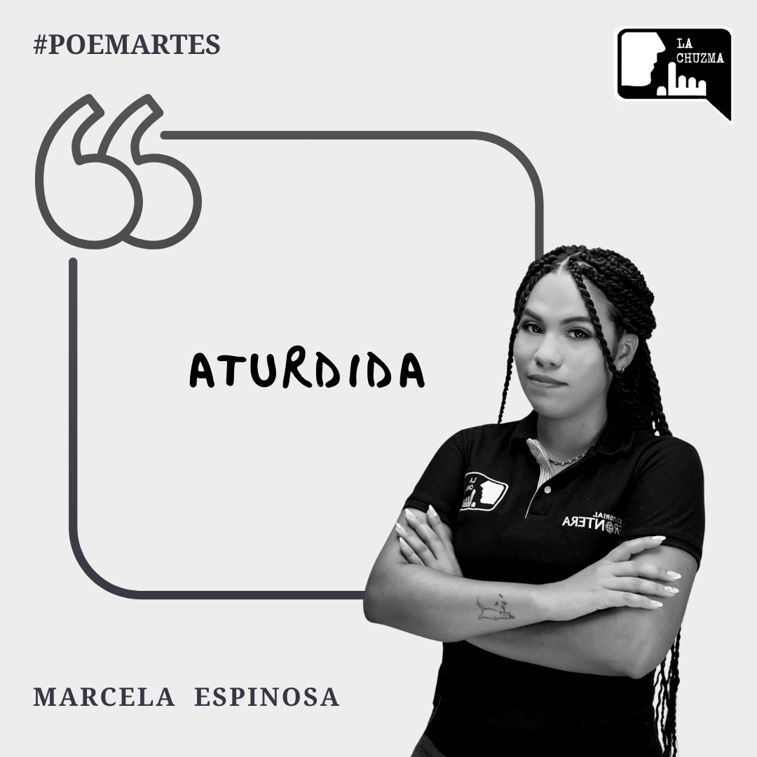 ATURDIDA – LA CHUZMA EDITORIAL